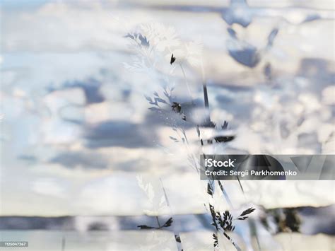 꽃 잔디와 호수 따뜻한 봄 석양의 자연 배경 혼합된 이미지 0명에 대한 스톡 사진 및 기타 이미지 0명 4월 검은색