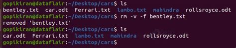 Rm Command In Linux Dataflair