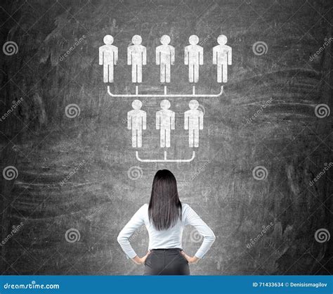Businesswoman Looking At Hierarchy Sketch Stock Illustration
