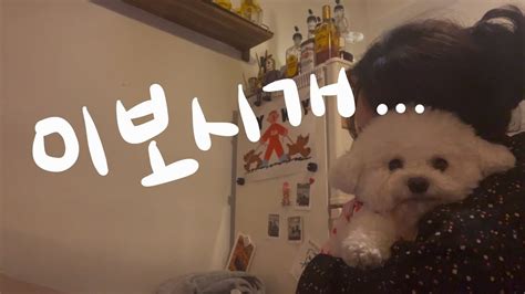 카페vlog 자유부인이 되었다 신전떡볶이와 강아지는 사랑 Youtube