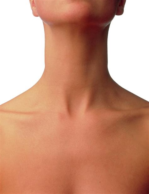 Front View Of The Neck And Upper Chest Of A Woman By Phil Jude