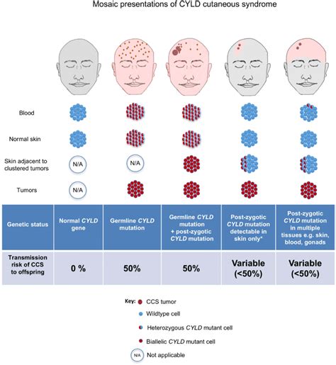 An Overview Of Risk Of Transmission Of Germline And Mosaic Variants In
