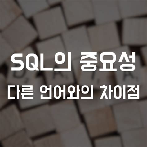 Sql의 중요성 다른 언어들간의 차이점 파악하기