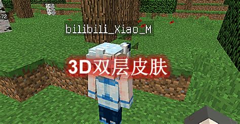 3d皮肤层 Skin Layers 3d Mod 我的世界 Mc世界侠 3d皮肤层 Skin Layers 3d Mod 我的世界 Mc世界侠