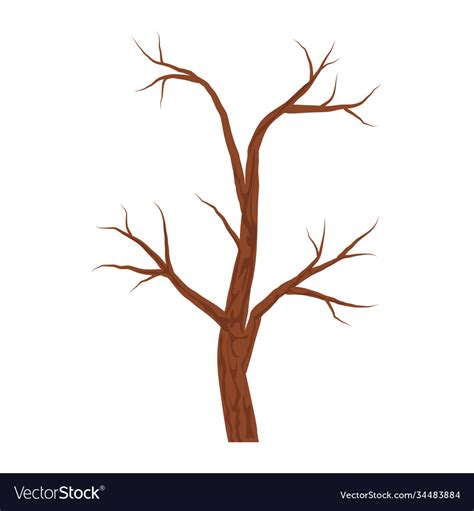 Bare Brown Tree Without Leaves Isolated On White Vector Image