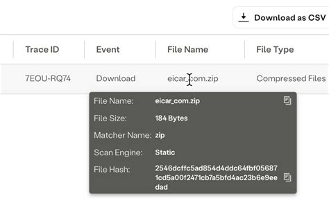 File Security Actions