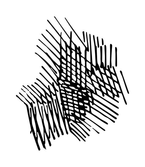 Premium Vector Vector Illustration Of Scribble And Hatche