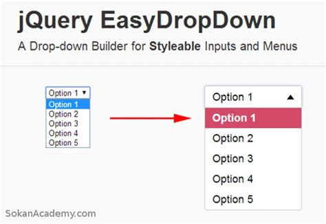 Easydropdownjs افزونه‌ای برای کاربرپسند‌تر کردن تگ Select سکان آکادمی