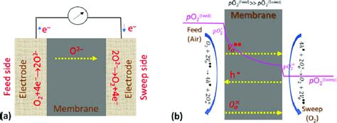 1 Schematic Of Oxygen Permeation Across Dense Ceramic Membranes A Download Scientific