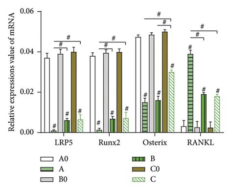 Relative Expressions Value Of Mrna Of Lrp5 Runx2 Osterix And Rankl