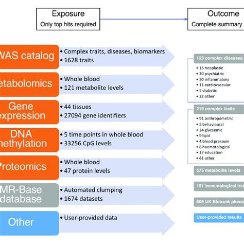 The Practical Steps For Performing 2 Sample Mendelian Randomization