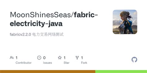fabric electricity java application src main java com fabric service enrolladmin java at main
