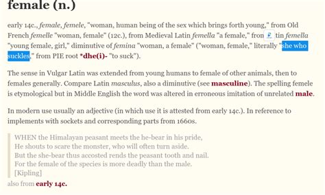 Terf Define A Woman 김윤미 Kim Yoonmi Author