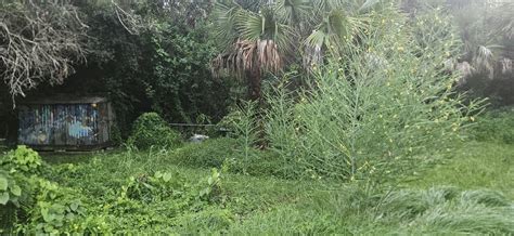 Monthly Naked Gardening Meetup Pre Drum Circle