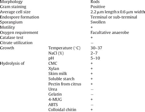 Physiological And Biochemical Characterization Of Paenibacillus Sp A59