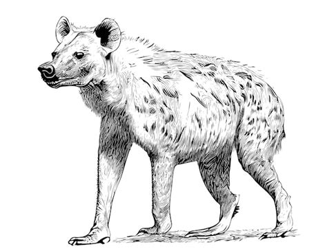 증기 기관차 손으로 그린 스케치 벡터 일러스트 레이 션 프리미엄 벡터