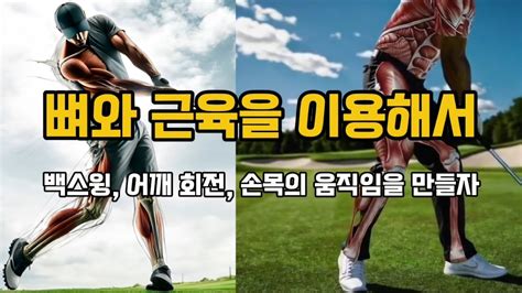 뼈와 근육을 이용해서 백스윙 어깨 회전 손목의 움직임을 만들자 Youtube