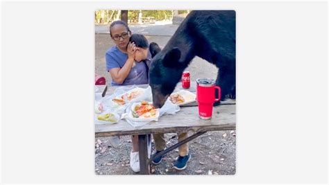 Video Un Oso Arrasa Con La Comida De Una Familia Que Disfrutaba En Un Parque En M Xico Rt