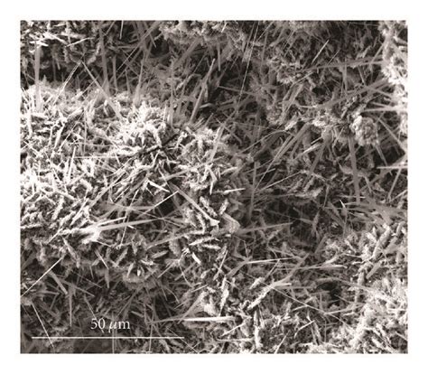 A Free Standing And Flexible Zno Nanowire Filled Pvdf Composite B Download Scientific