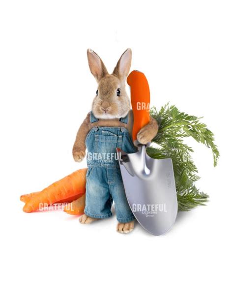 Peter Rabbit Grateful Art Licensing