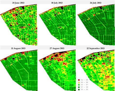 canopy greenness estimation time series using landsat oli datacube