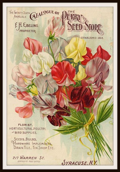 Biodiversity Heritage Library Seeds Bulbs Hardware And Drain Tile