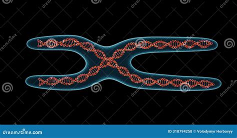 Dna Molecule Structure 3d Render Stock Illustration Illustration Of Technical Laboratory