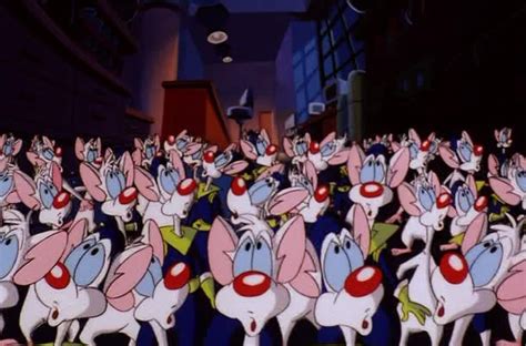 Pinky And The Brain 30 Aug 2006 Vhistory