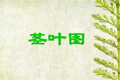 茎叶图统计学概念搜狗百科