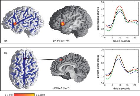 Linguistic Complexity Effect Brain Regions Sensitive To Linguistic Download Scientific Diagram