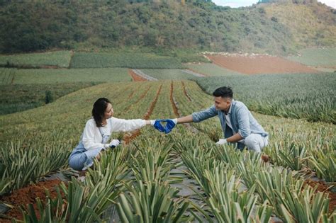 What Happens After A Twin Flame Reunion Surprising Things
