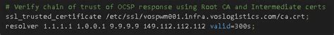 Adjust Nginx Nf Template To Use Private Dns For Ocsp Check