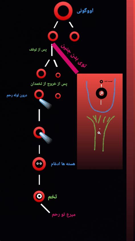 تدریس زیست شناسی یازدهم تجربی کنکور آکادمی امروز