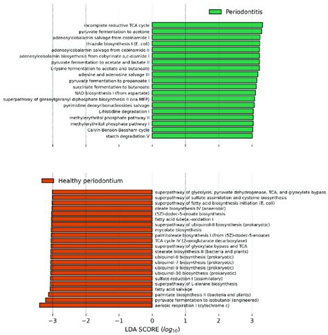 bar plot showing the picrust2 inferred pathways which relative