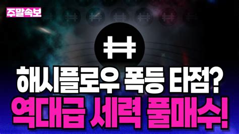 해시플로우 코인 역대급 세력 풀매수 대형폭등 임박구간 타점은 Youtube