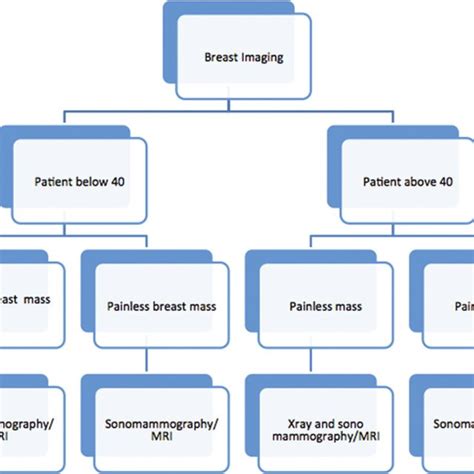 Example Of Decision Tree Data Mining Process Figure Elements Of Data Download Scientific