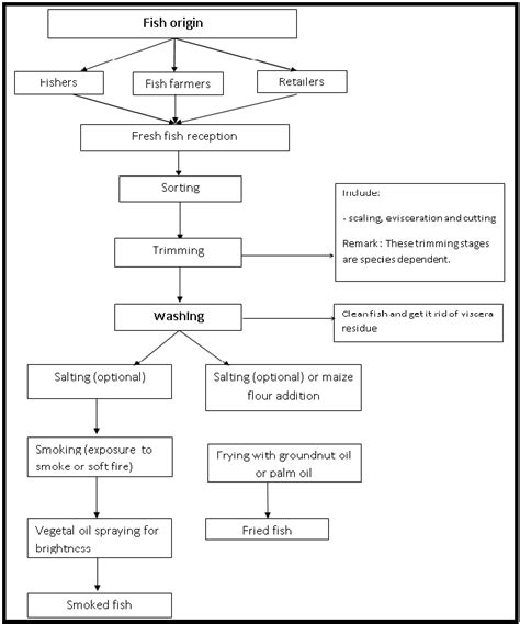 Diagram Of Freshwater Fish Processing In Abomey Calavi Township