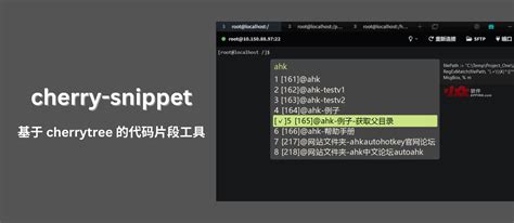 cherry snippet 基于 CherryTree 的代码片段工具 Windows 小众软件