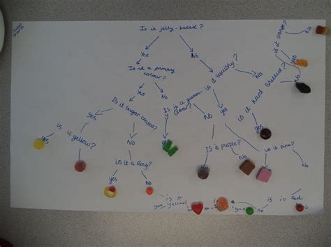 Science Classification Using Sweets Holland Haven Primary School