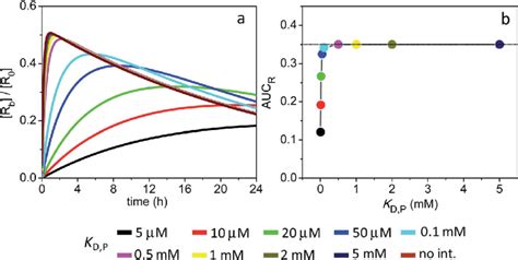Extent Of Receptor Occupancy Assuming The Model Parameters In Sim 8