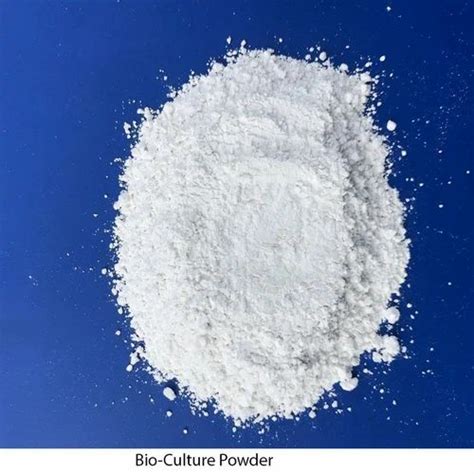 Microbial Culture Powder At ₹ 480kg Industrial Chemicals In