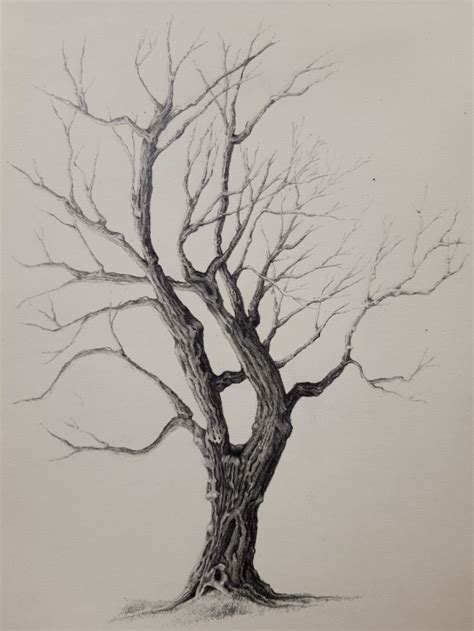 Cansu Adl Kullan C N N S K E T C H E S Panosundaki Pin