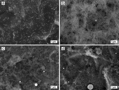 Fesem Micrographs Of Cu Nanoparticles From Samples A B C And D