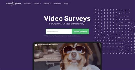 Survey Themes Creative Themes For Survey Design Surveysparrow