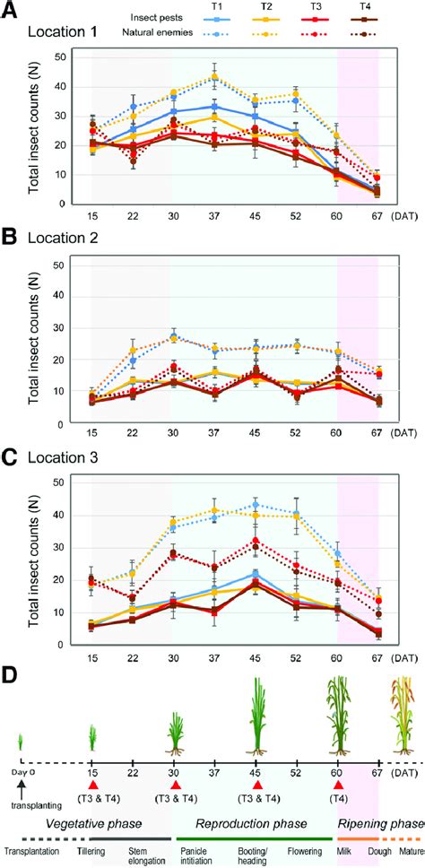 Population Dynamics Of Total Insect Pests Solid Line And Total