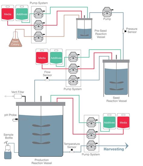 Bioprocessing Fermentation Process Workflow Products From Masterflex Vwr