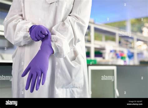Cropped View Of Scientist In Laboratory Putting On Latex Gloves Stock Photo Alamy