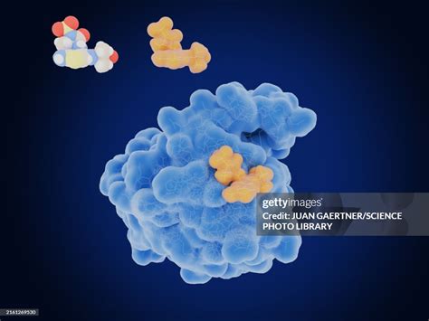 Bacterial Enzyme Beta Lactamase Breaking Down Antibiotic Aztreonam Illustration High Res Vector