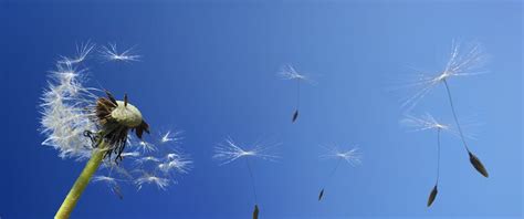 Sex Zips And Feminism Erica Jongs Fear Of Flying Has A Joyful