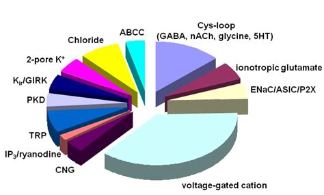 Ionic Screening Panel Creative Bioarray